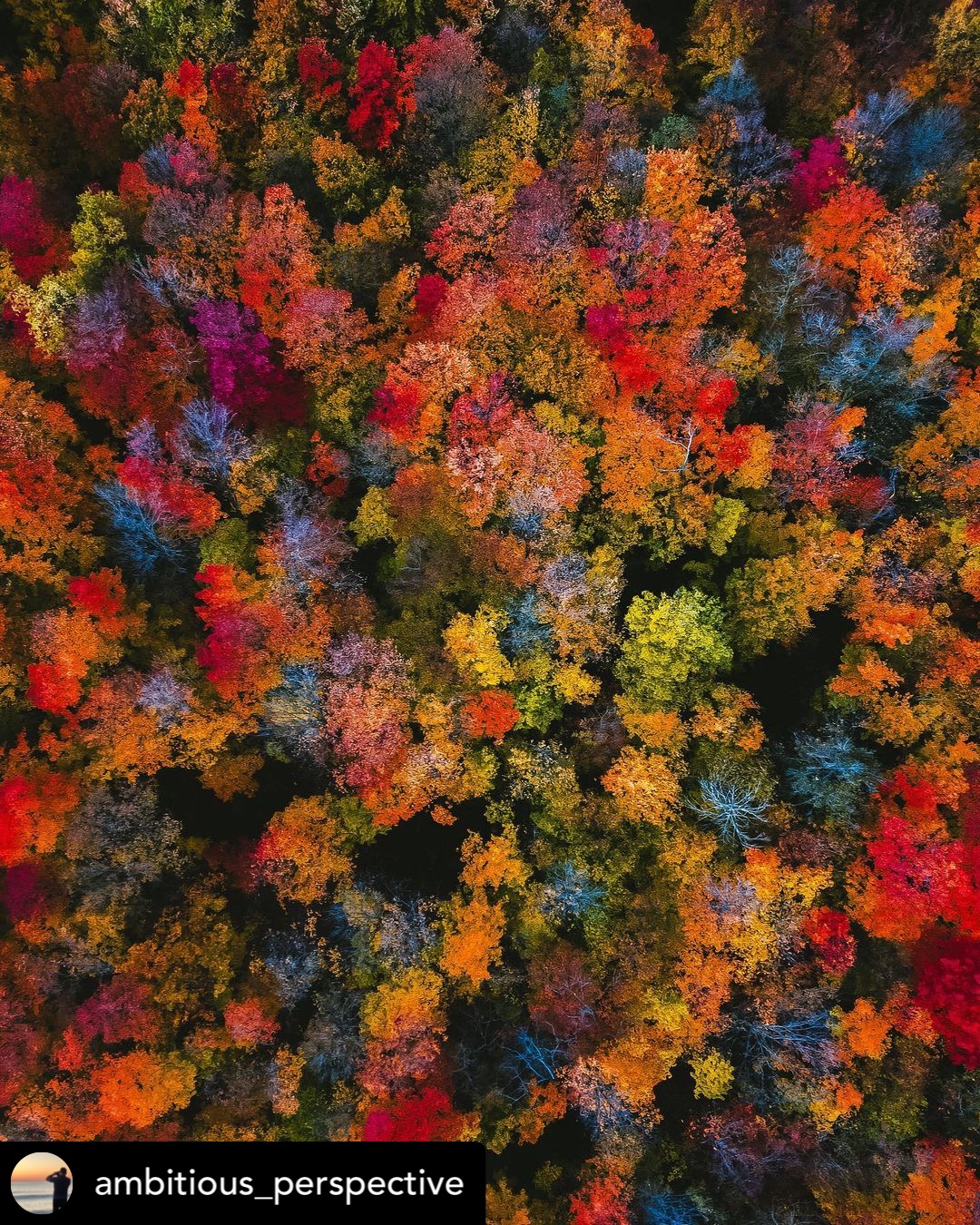 Pick your favourite of these beautiful Fall Photo Contest entries ...